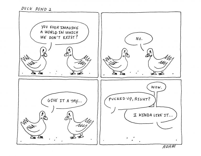 DUCK POND 2 by Adam Soldofsky | X-R-A-Y