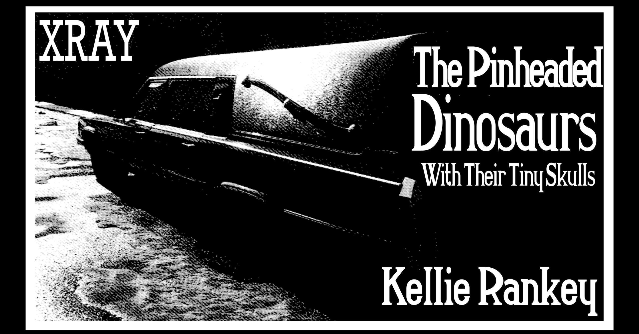 THE PINHEADED DINOSAURS WITH THEIR TINY SKULLS by Kellie Rankey | X-R-A-Y