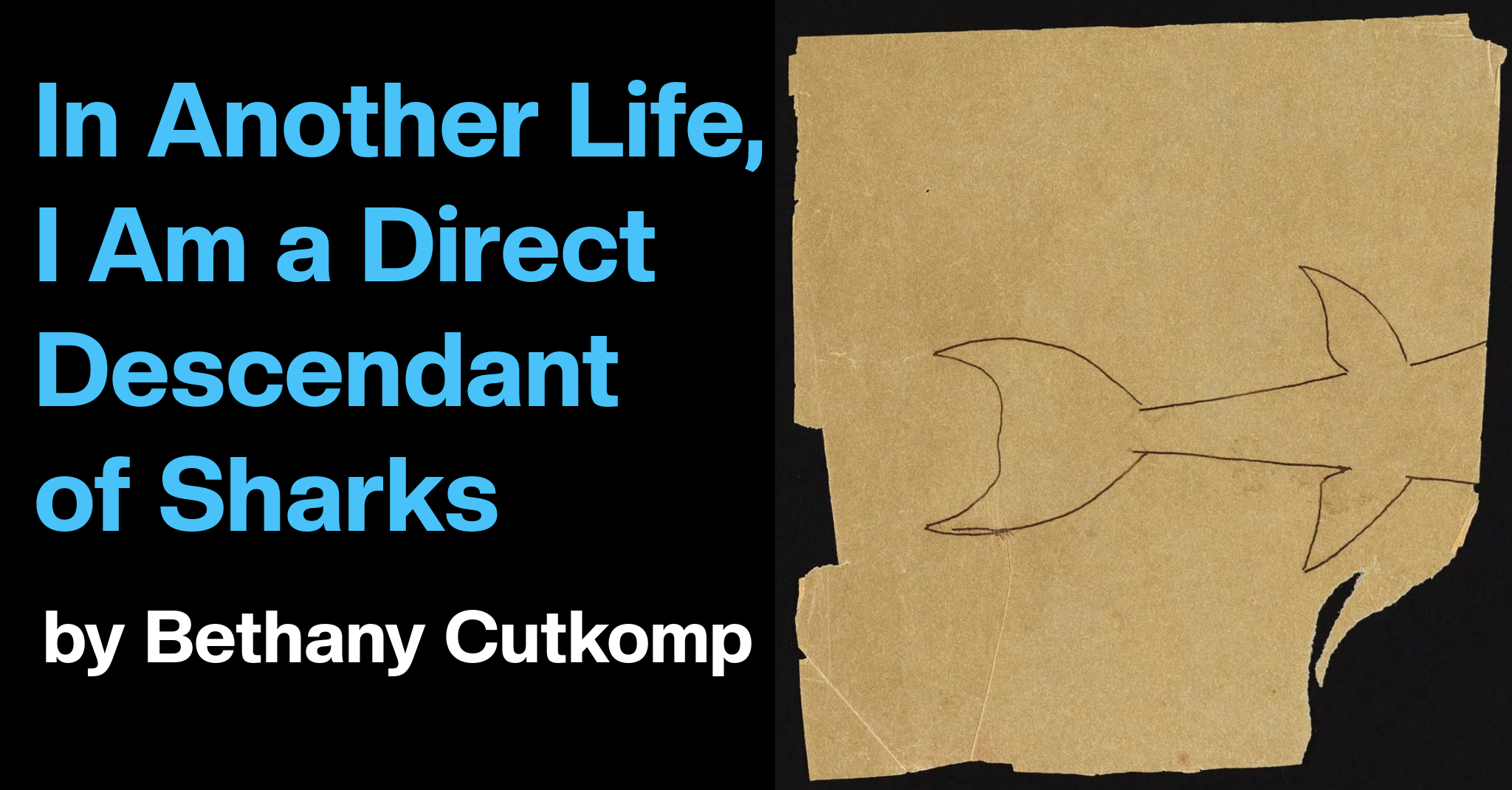 IN ANOTHER LIFE, I AM A DIRECT DESCENDANT OF SHARKS by Bethany Cutkomp ...